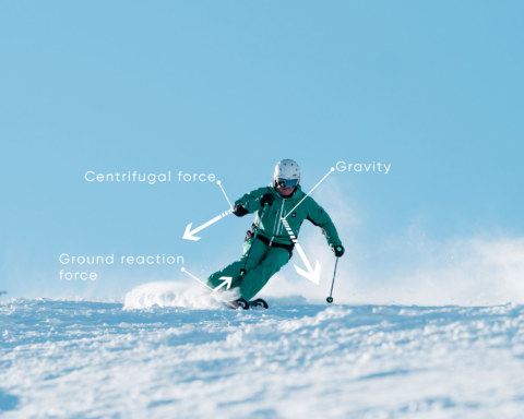 Proper Ski Stance & Posture (An Illustrative Guide) – Carv