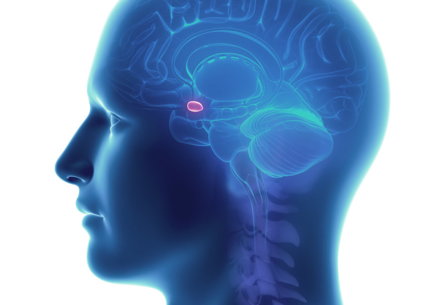 Overcoming fear and anxiety when skiing – Carv